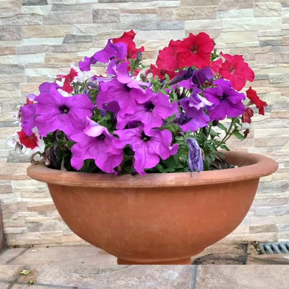Macetas de barro - Alfarería y Cerámicas Gallardo